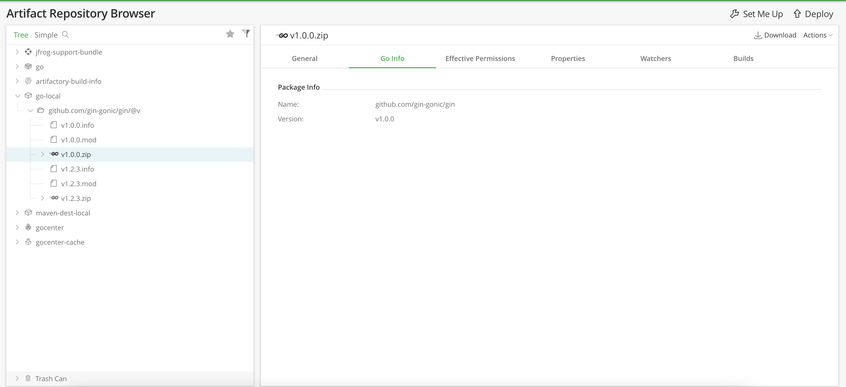 File structure difference and Files missing within the published Golang package using Jenkins ...