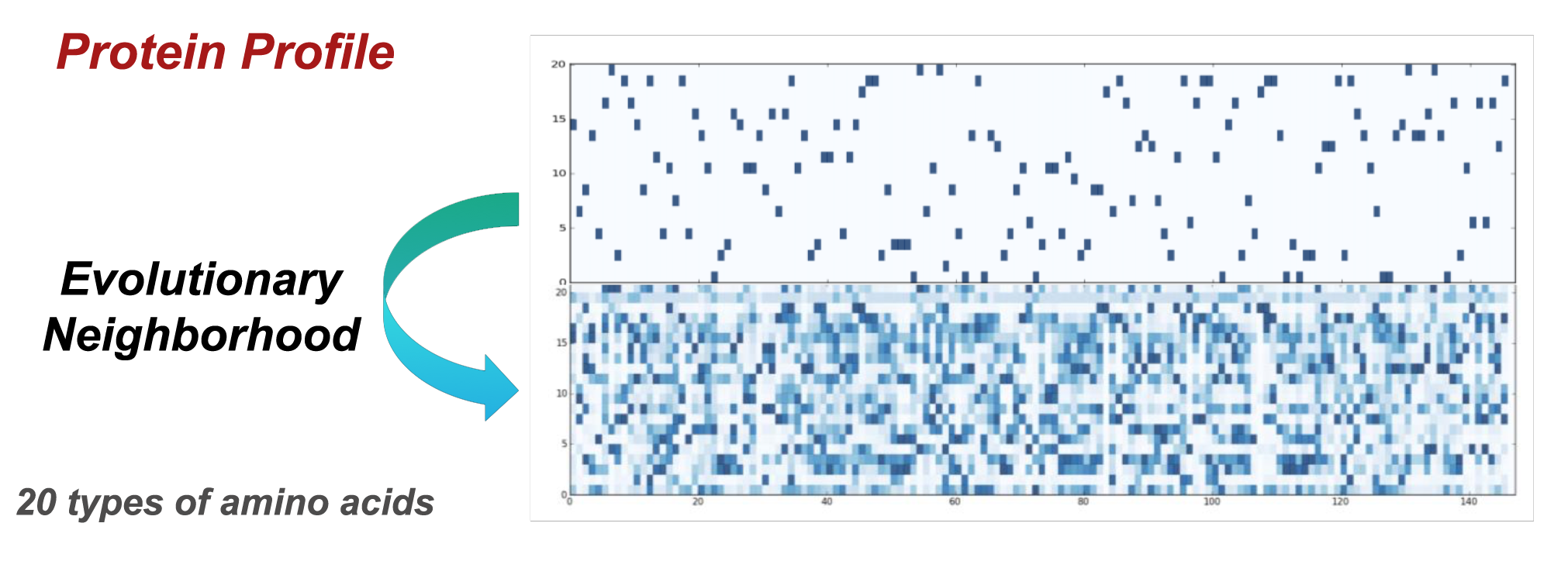 GitHub - Neethu-Suman/RDN-protein-sequence