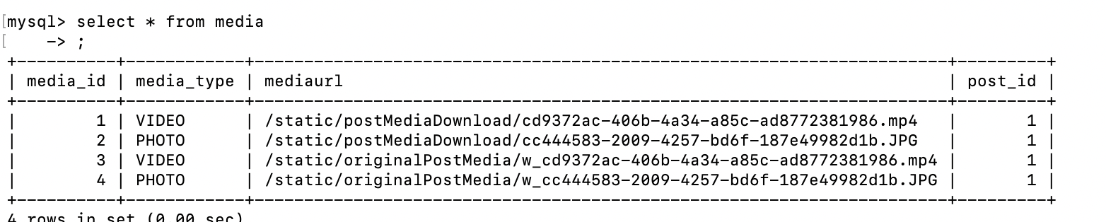 fix: hot-fix thumbnail path by Martin0o0 · Pull Request #289 · Breaking-Dope/breaking-backend ...