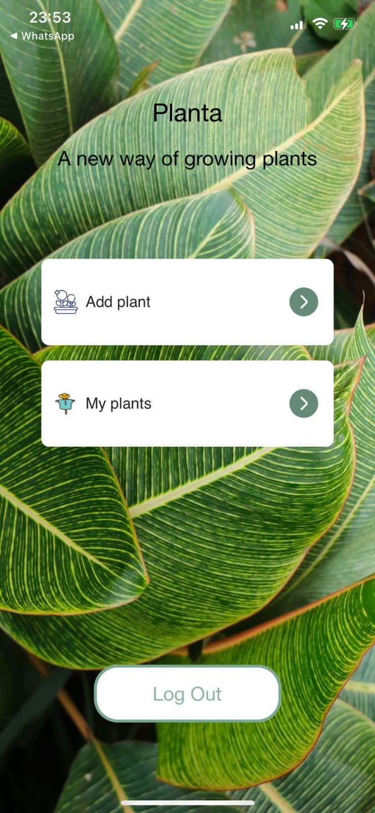 GitHub - erankamil/PlantaApp_arduino: Arduino code for Planta App ...