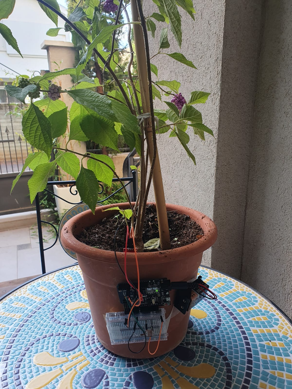 GitHub - erankamil/PlantaApp_arduino: Arduino code for Planta App ...