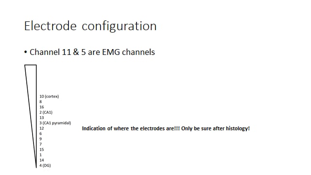 mapping spikes to channels · Issue #184 · SpikeInterface/spikeinterface · GitHub