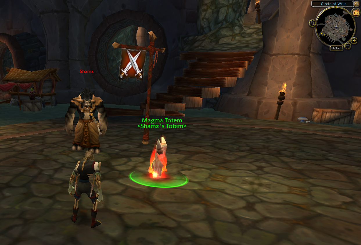 [SPELL/SHAMAN] Totems friendly / hostile not reflecting casters state · Issue #213 · The ...