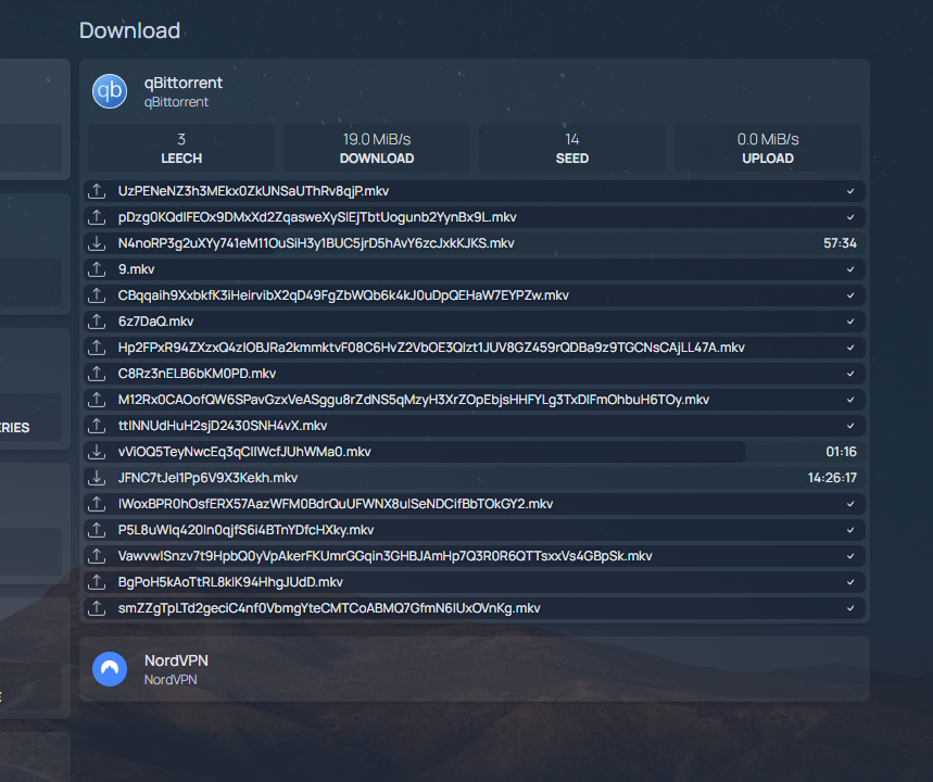 qBittorrent download progress · gethomepage homepage · Discussion #697 · GitHub