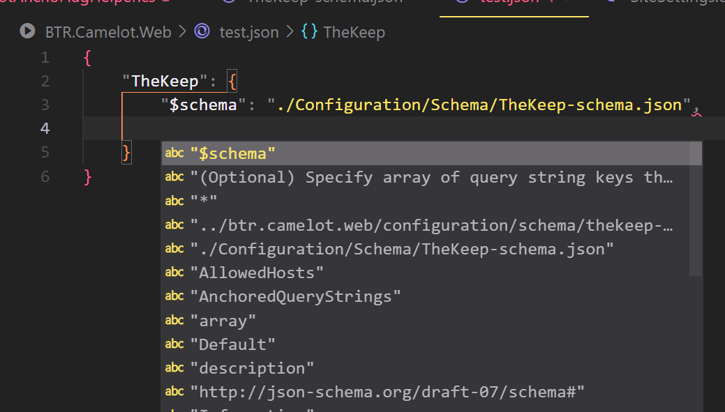 Allow Custom schema Declarations In NET Core Appsettings json At Any Level Issue 19234 