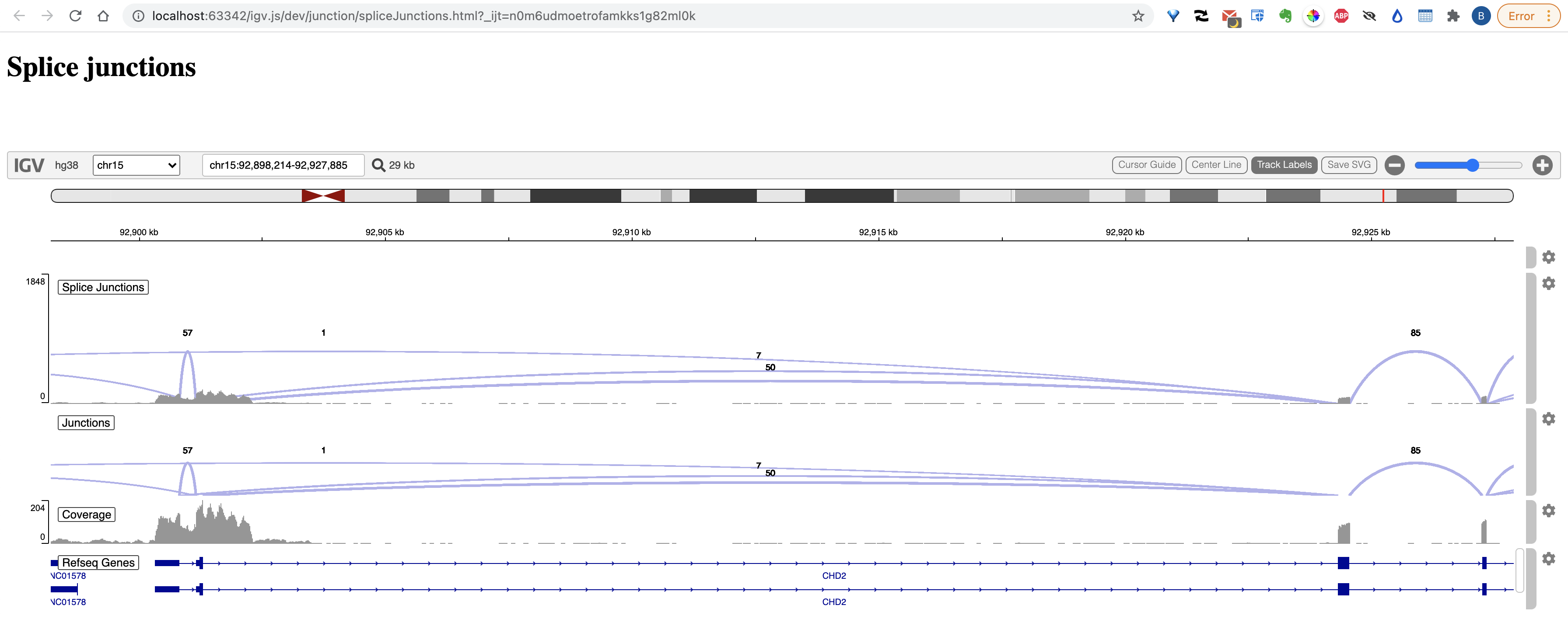 spliceJunction track - popup and appearance issues · Issue #1406 ...