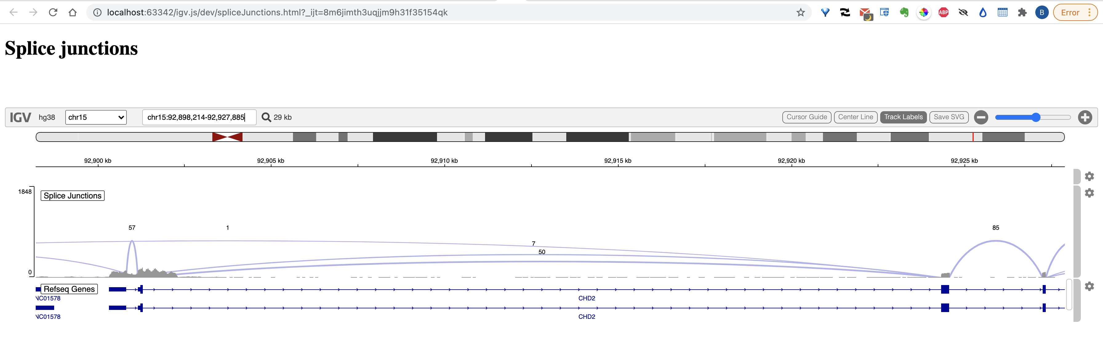 spliceJunction track - popup and appearance issues · Issue #1406 · igvteam/igv.js · GitHub