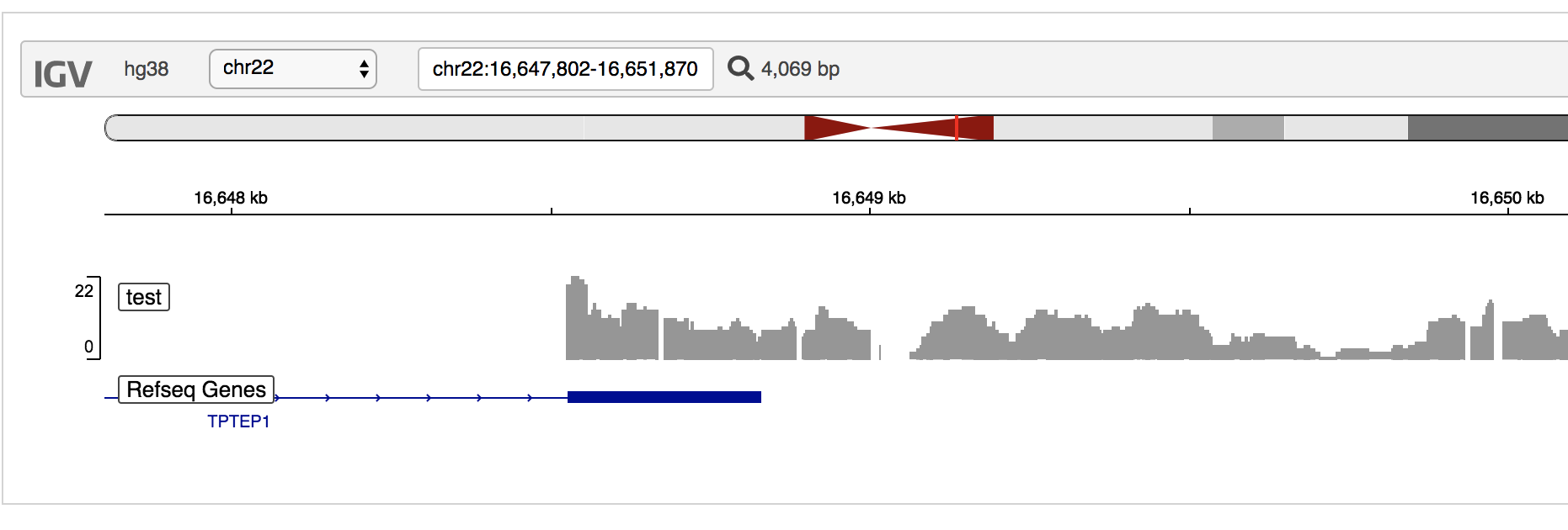 bigWig rendering issue: coverage gaps appear/disappear at different zoom levels · Issue #1017 ...