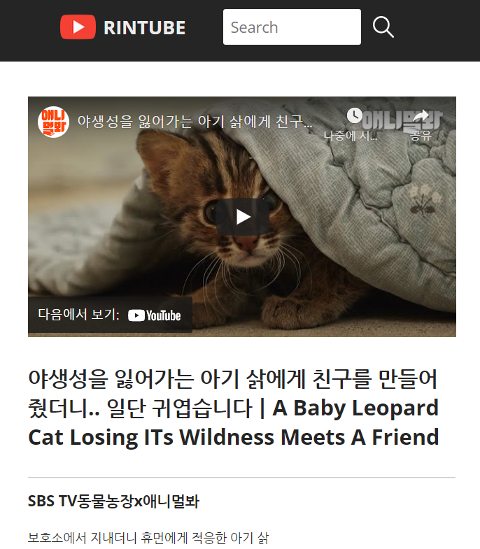 GitHub - JAGORING/Rintube: React로 Youtube 클론 코딩 (Dream Coding)