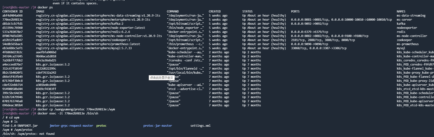 [BUG]在ms容器内运行二进制文件出现：not found · Issue #17159 · metersphere/metersphere · GitHub