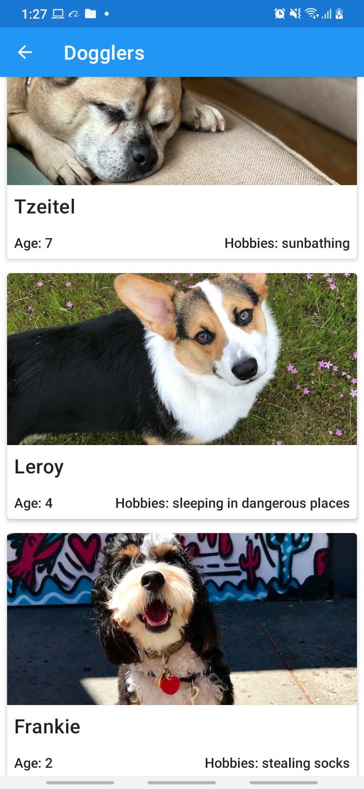 GitHub - FerAma20/Dogglers