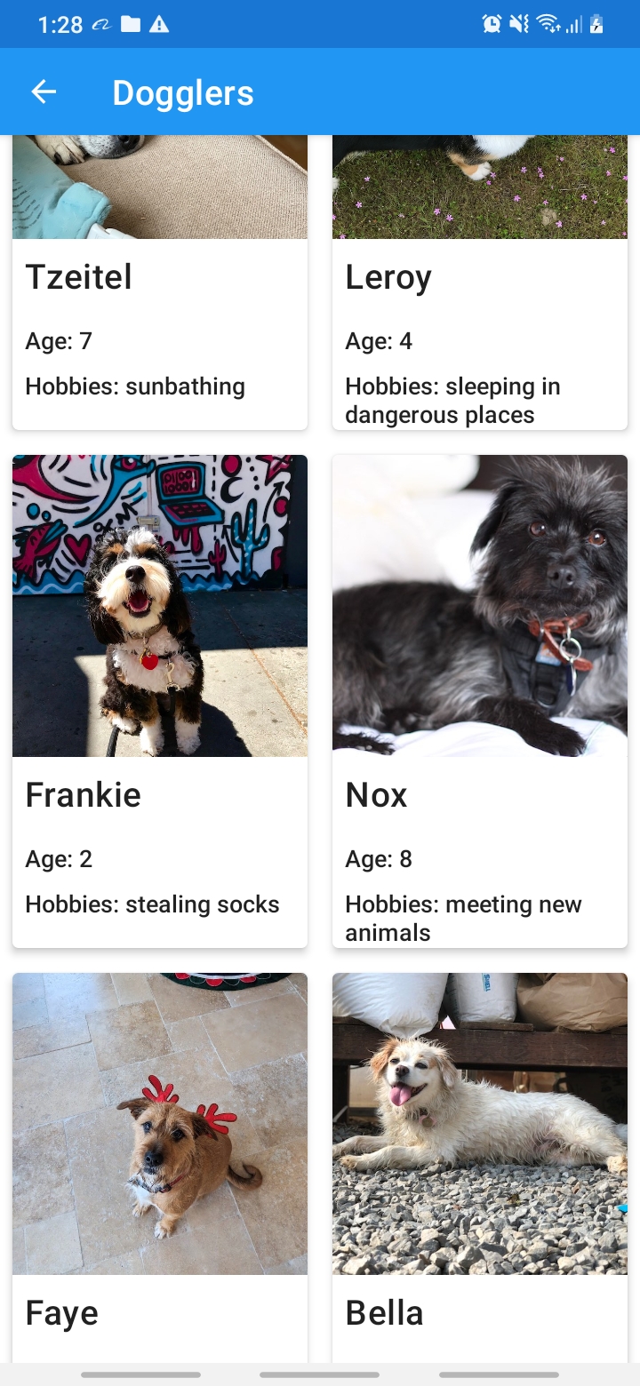 GitHub - FerAma20/Dogglers