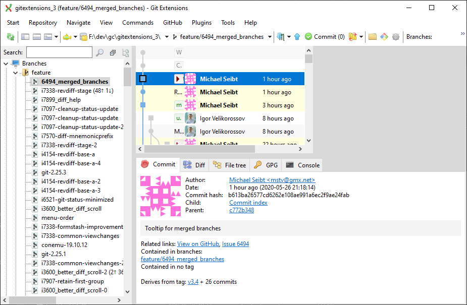 Tab Settings Are Not Restored At Startup · Issue 8153 · Gitextensions Gitextensions · Github