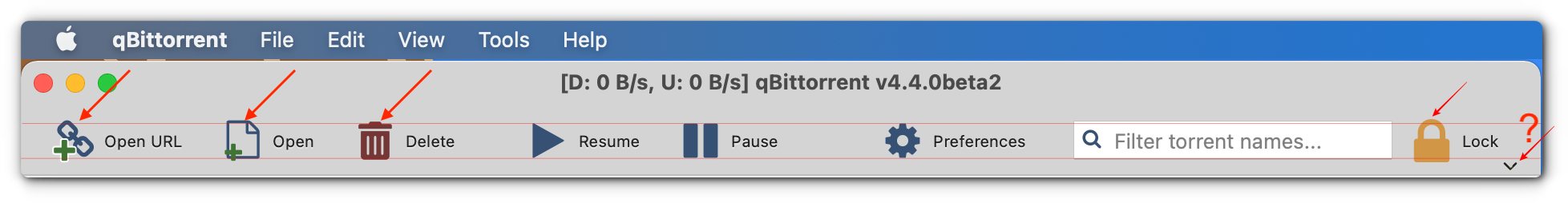 UI issue on macOS · Issue #15293 · qbittorrent/qBittorrent · GitHub