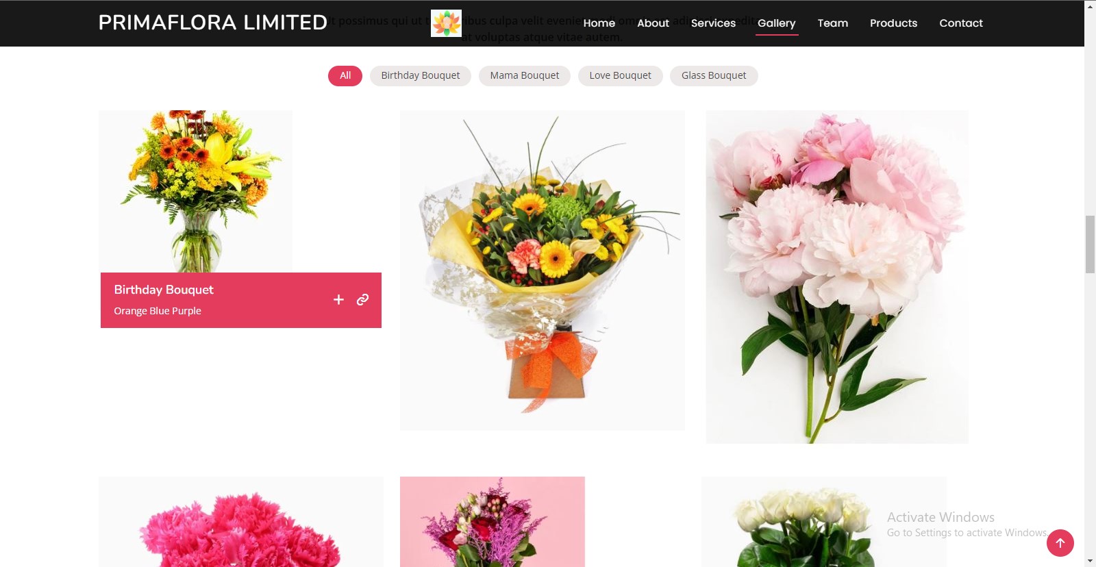 GitHub - edwin659898/Primaflora-LimitedCompany: Primaflora Limited Company it's a website that ...