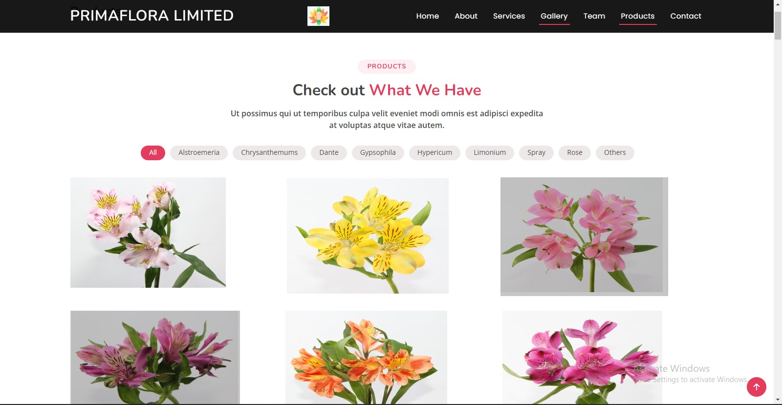 GitHub - edwin659898/Primaflora-LimitedCompany: Primaflora Limited Company it's a website that ...
