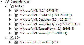 Input shape mismatch: Input 'image_tensor' has shape (-1, -1, -1, 3), but input data is of ...