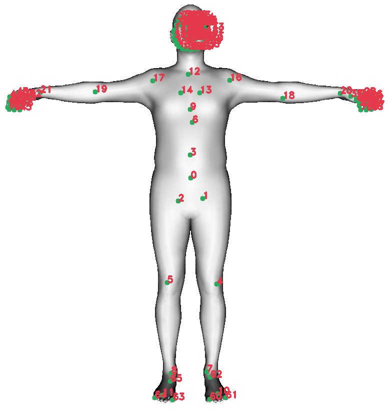 Keypoints overview for human_data · Issue #149 · open-mmlab/mmhuman3d · GitHub