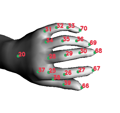 Keypoints overview for human_data · Issue #149 · open-mmlab/mmhuman3d ...
