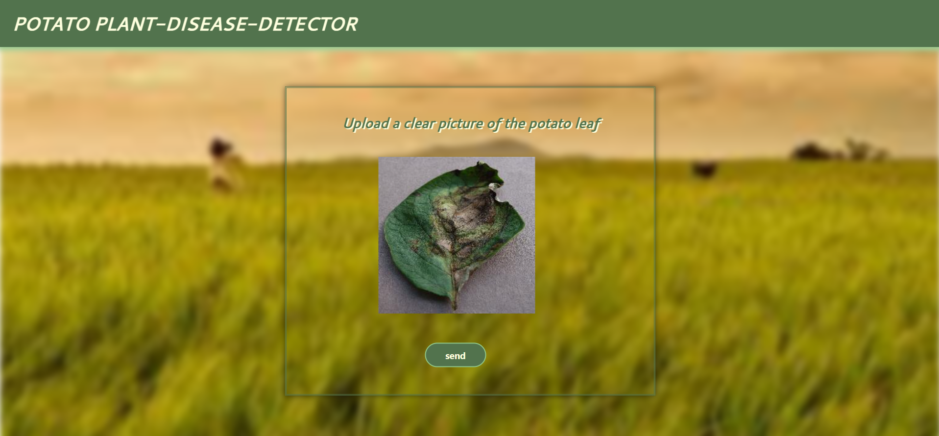 GitHub - sejalrai23/Potato-Plant-Detection