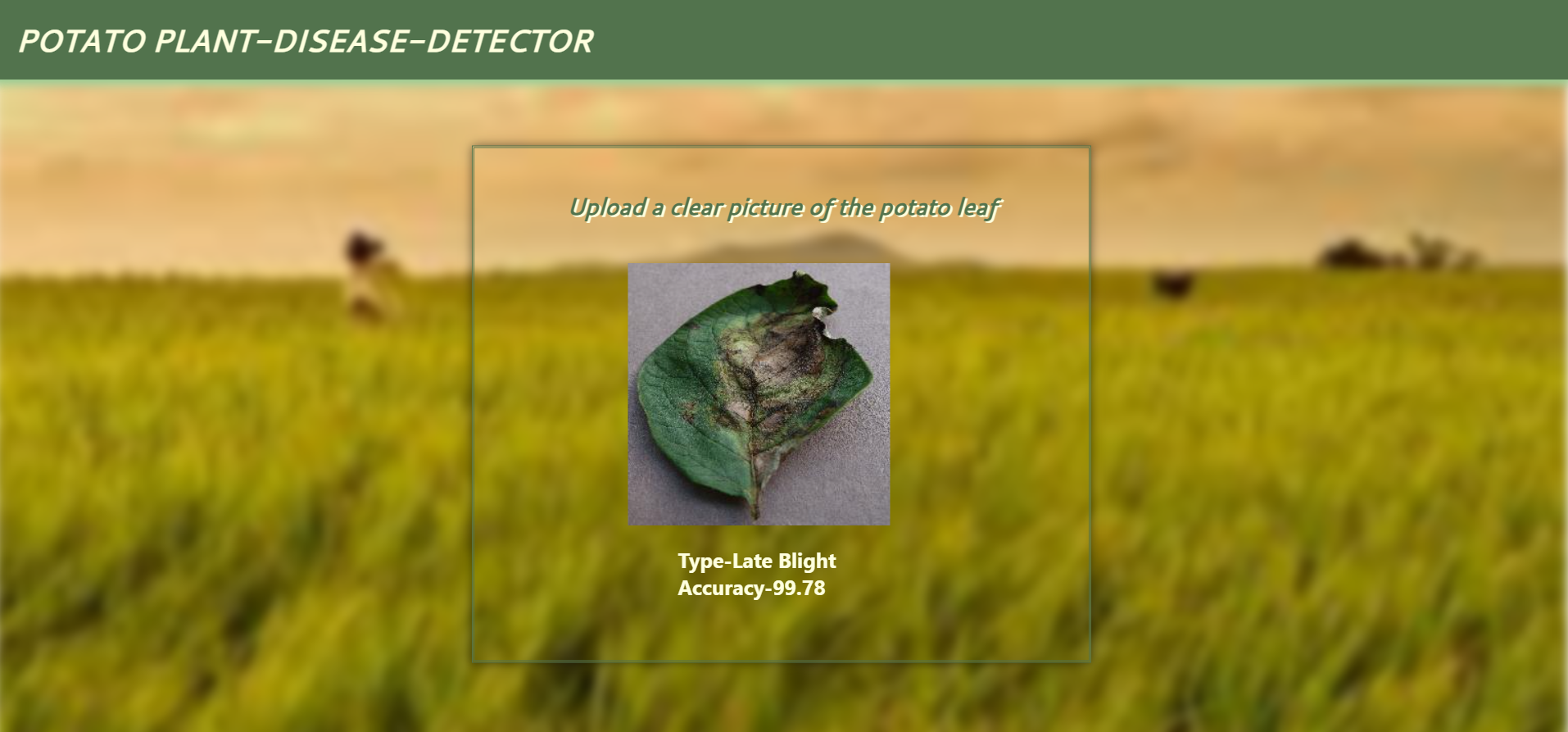 GitHub - sejalrai23/Potato-Plant-Detection