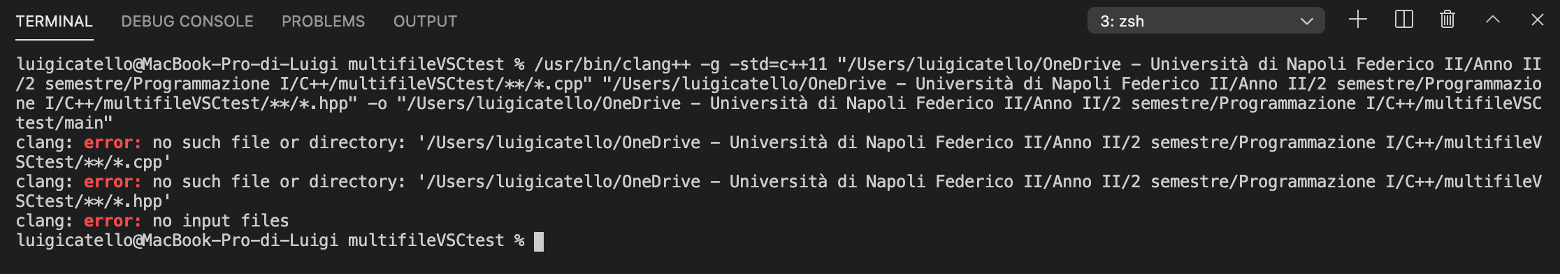 Cannot debug multiple files C++ project on MacOS · Issue #7282 · microsoft/vscode-cpptools · GitHub