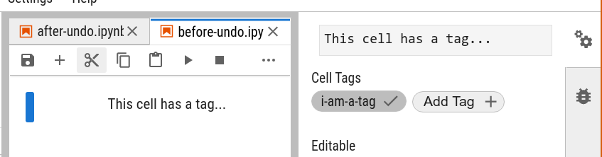 Undo of cell deletion loses cell metadata · Issue #11483 · jupyterlab/jupyterlab · GitHub