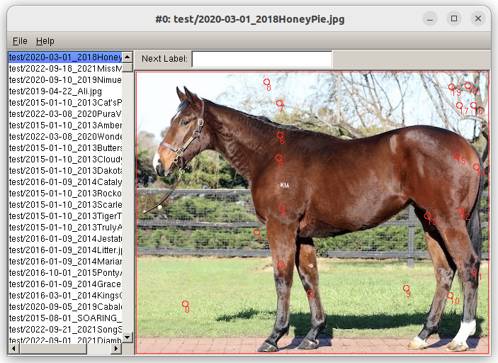 dlib’s find_min_global function creating SIGSEGV error · Issue #2738 · davisking/dlib · GitHub