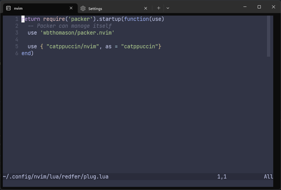 Windows terminal akward border · Issue #14889 · microsoft/terminal · GitHub
