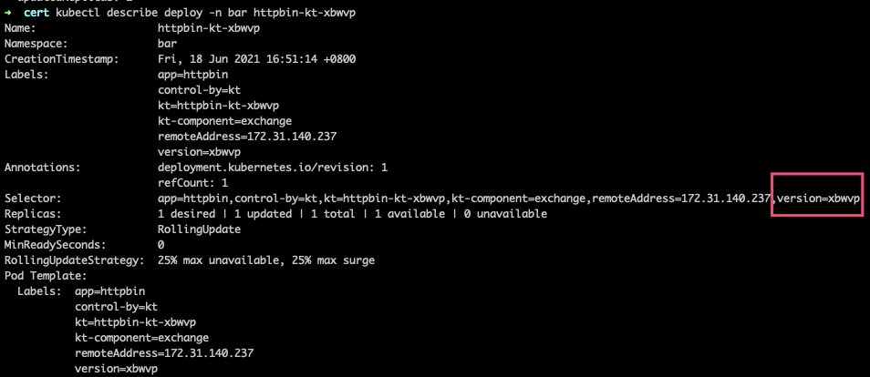 kt 创建shadow deploy时会覆盖"version" label · Issue #206 · alibaba/kt-connect · GitHub