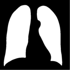 GitHub - aditya-beep/Automatic-Lung-X-Ray-Segmentation: In this project, we propose a deep ...