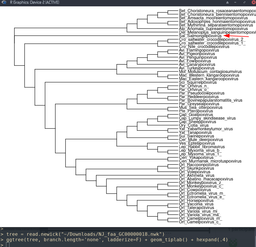 ggtree different with megaX · Issue #438 · YuLab-SMU/ggtree · GitHub