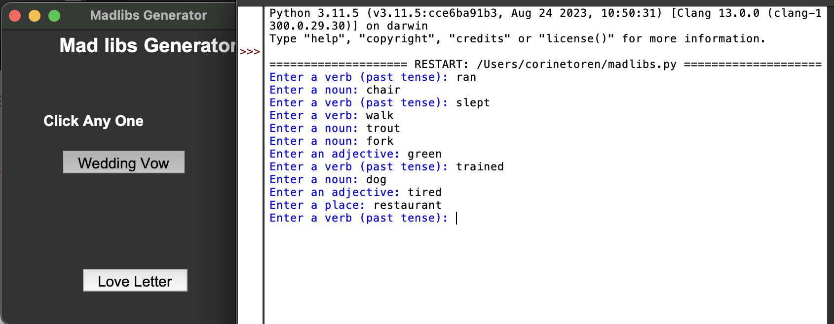 GitHub - ctoren/DjangoMadlibs: Funny Madlibs Generator