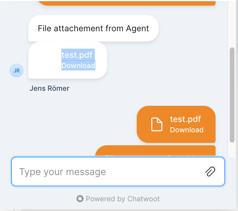 web widget - white text color on white background · Issue #6352 · chatwoot/chatwoot · GitHub