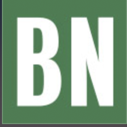 Icon request: icon-bnbl · Issue #12992 · FortAwesome/Font-Awesome · GitHub