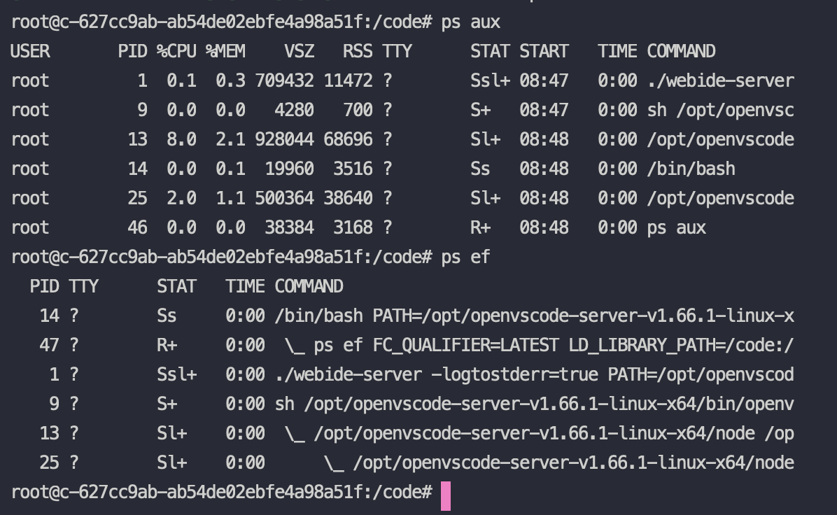 s instance exec 的信息显示被截断了 · Issue #743 · devsapp/fc · GitHub