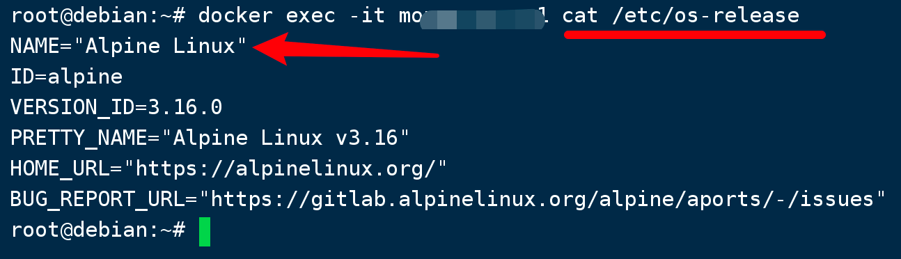 似乎有什么不对的地方 · Issue #188 · fscarmen/warp · GitHub