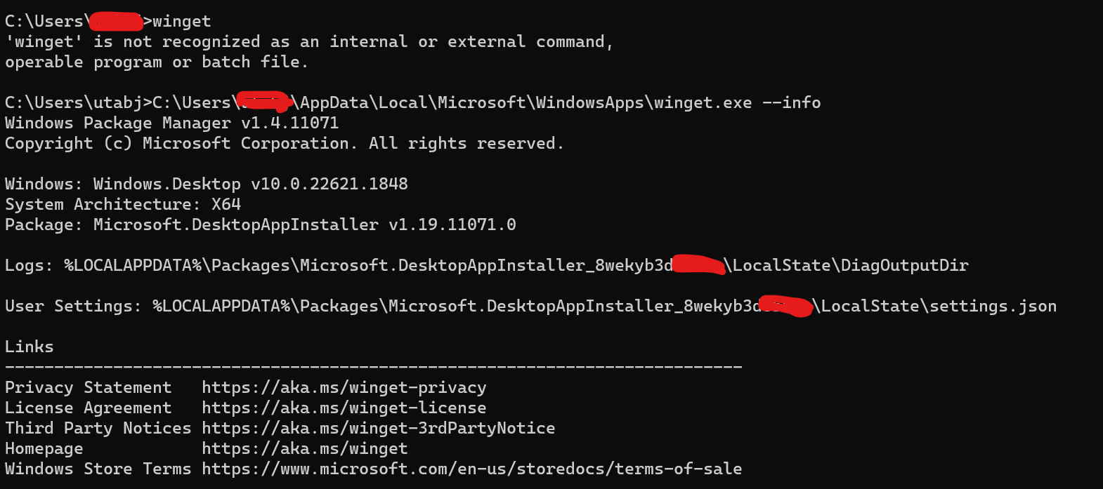 'Winget' command does not work · Issue #995 · microsoft/winget-cli · GitHub