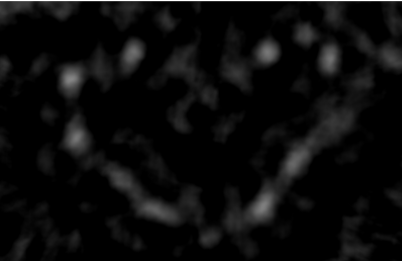 GitHub - Hodjy/Flower-Detector-OpenCV: :blossom: A program that uses ...