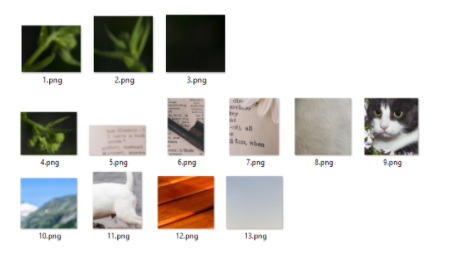 GitHub - Hodjy/Flower-Detector-OpenCV: :blossom: A program that uses ...