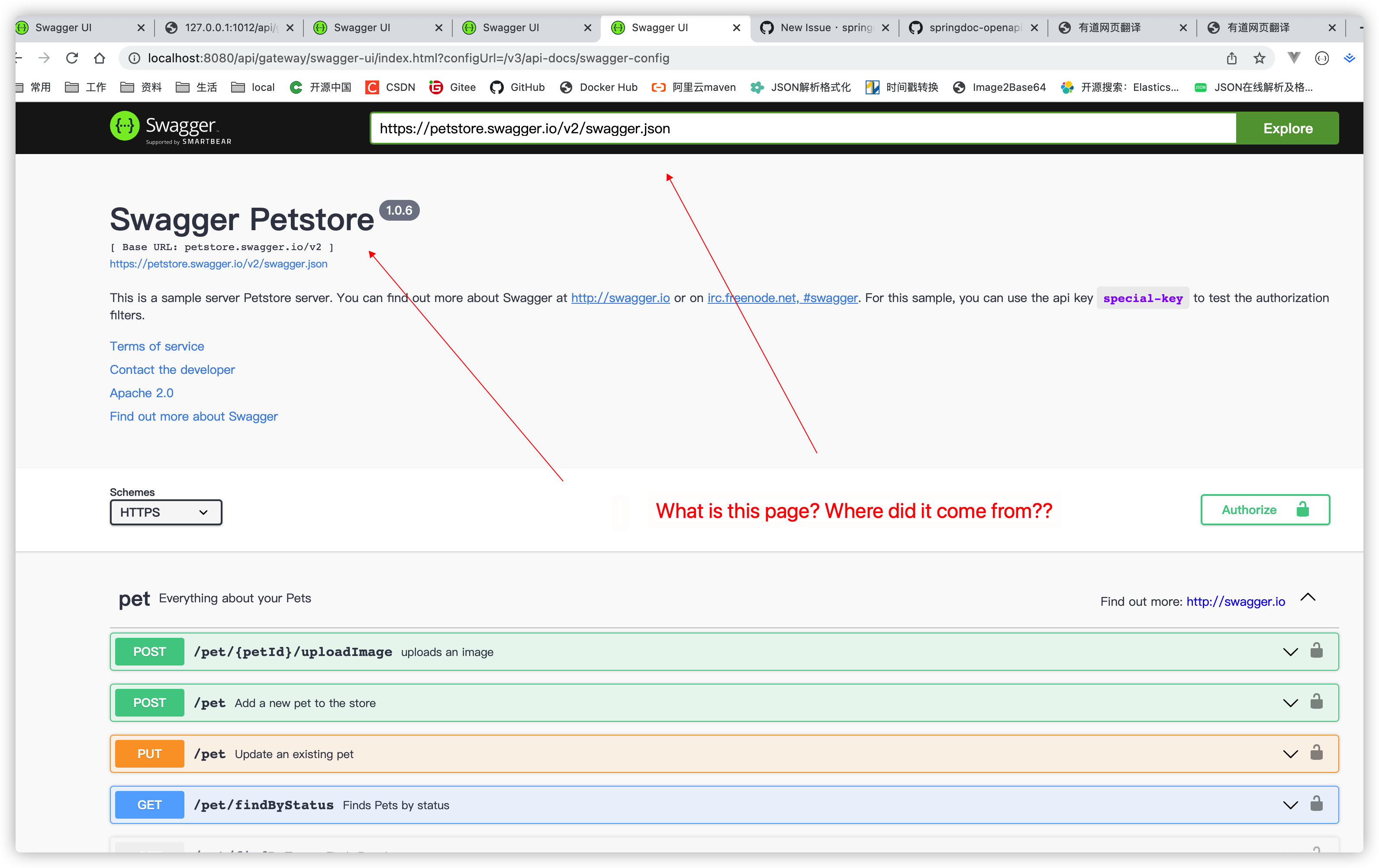 Setting swagger ui path And swagger ui config url will Cause