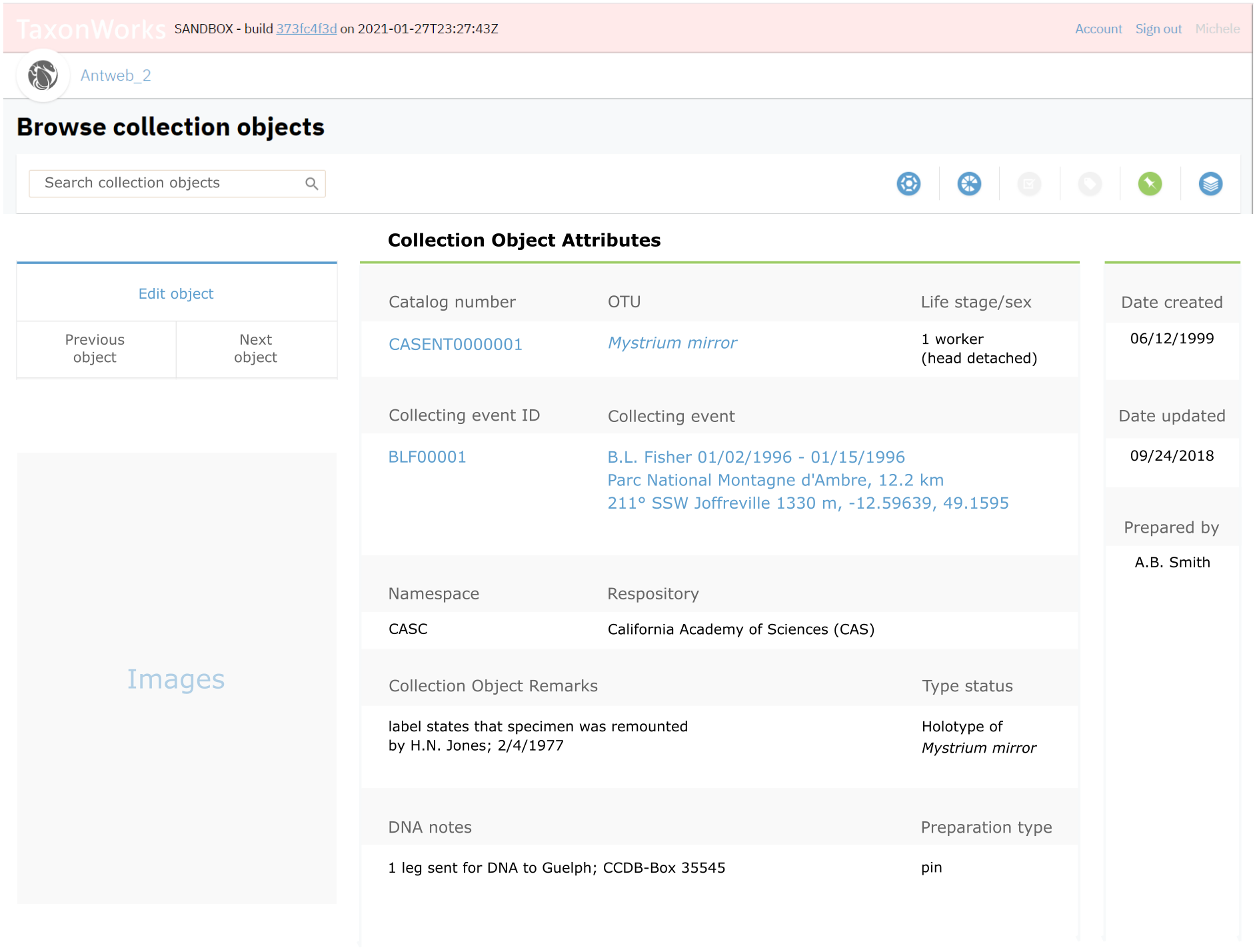 New Browse design · Issue #2019 · SpeciesFileGroup/taxonworks · GitHub