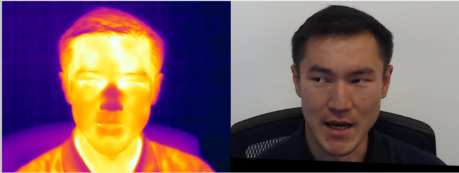 GitHub - svriit/Thermal-Facial-Landmarks-Detection