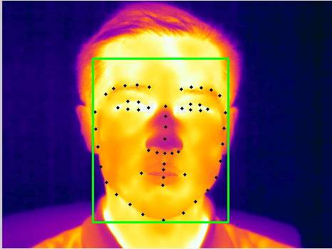 GitHub - svriit/Thermal-Facial-Landmarks-Detection