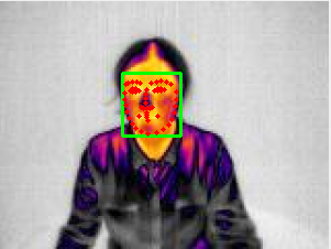 GitHub - svriit/Thermal-Facial-Landmarks-Detection