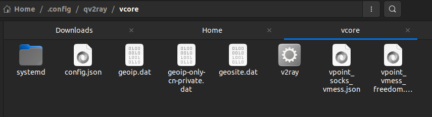 Bug Report: Failing to find v2raycore in Ubuntu 22.04 · Issue #1666 · Qv2ray/Qv2ray · GitHub