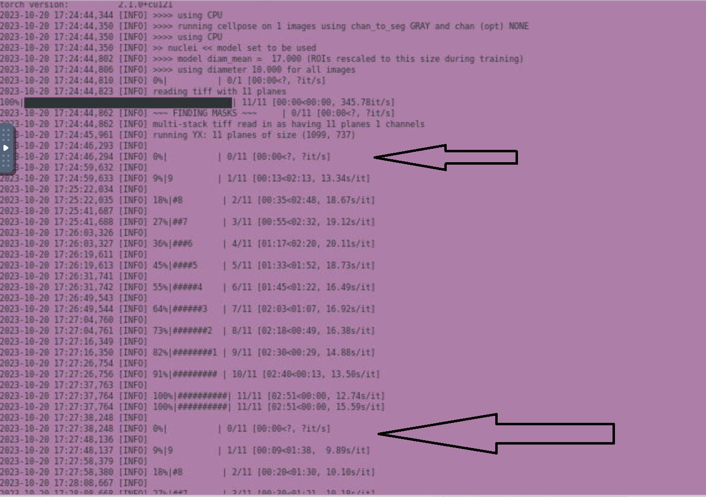 3D Headless mode running same plane several times? · Issue #806 · MouseLand/cellpose · GitHub