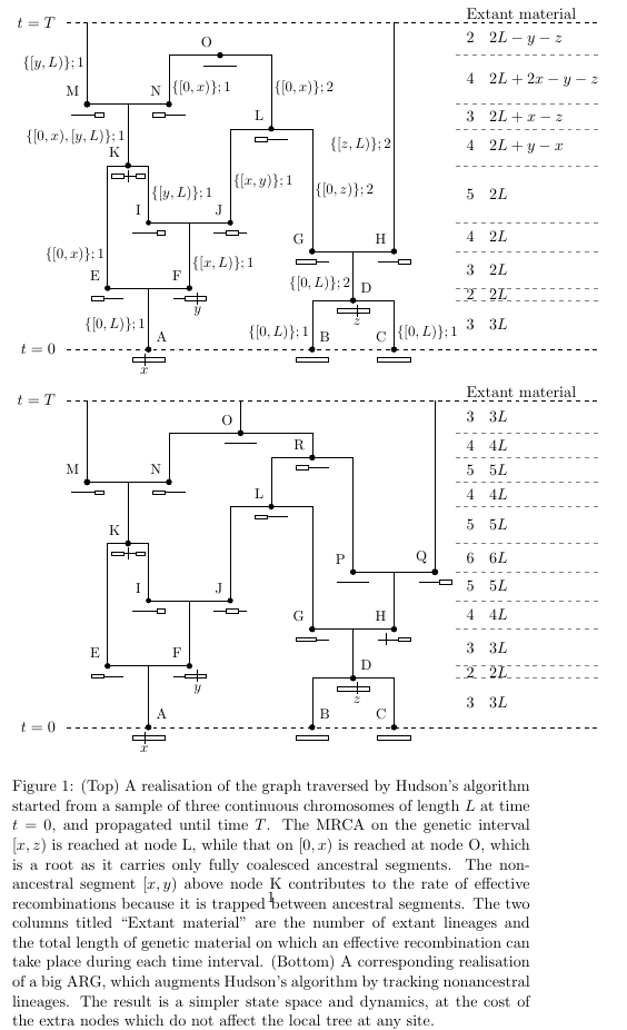 Figure 1: Hudson's alg vs Big ARG · Issue #55 · tskit-dev/what-is-an-arg-paper · GitHub