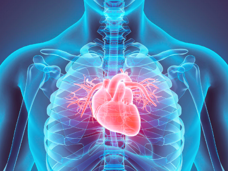 GitHub - Girlcode92/heart_attack_predictor