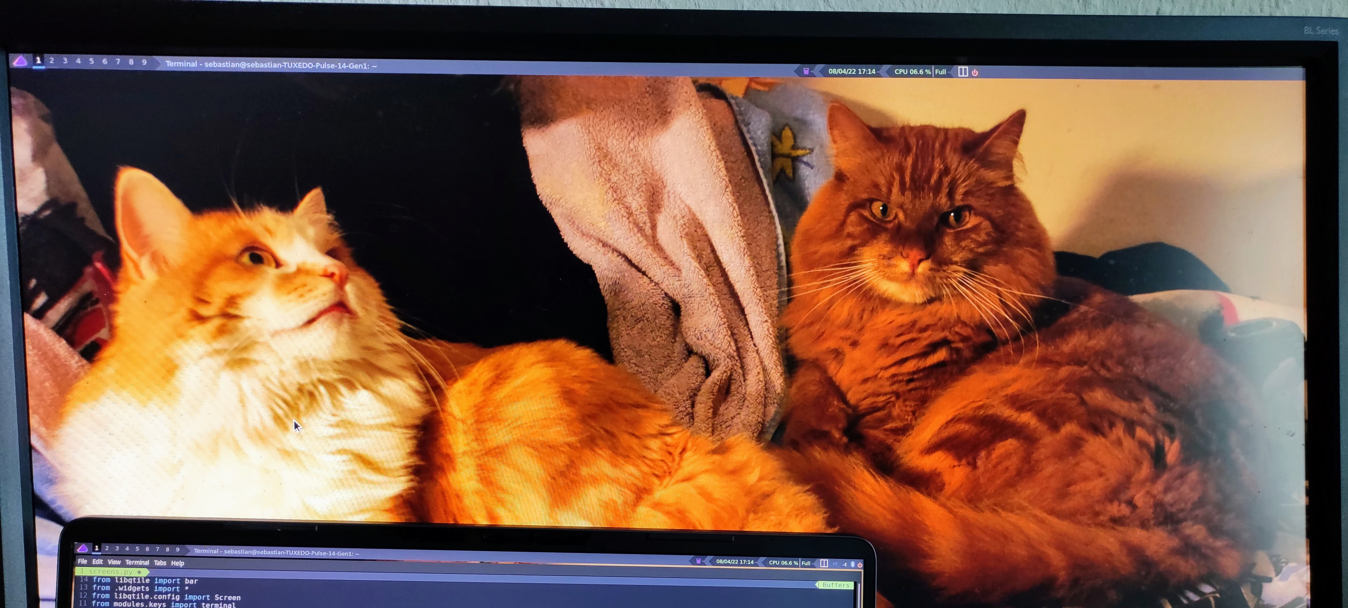 Mirror widgets do not stretch · Issue #3739 · qtile/qtile · GitHub